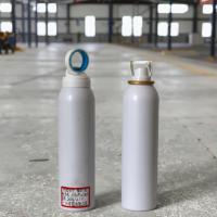 China Custom 150ml 300ml Empty Aerosol Tin Can for Machine Oil Lubricant Car Paint Coating Tinplate Spray Packaging for sale