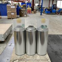 China 2K Aerosol Tin Cans 250ml Custom Empty Metal Cans Printing Spray Bottle for Car Care Use for sale