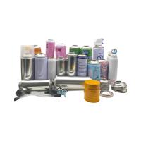China 2K Aerosol Tin Cans 250ml Custom Empty Metal Cans Printing Spray Bottle for Car Care Use for sale