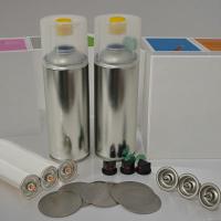 China Custom Logo Aerosol Refillable Spray Paint Can Rechargeable Empty Tinplate Jar Chemical Resistant for Car Painting Packaging for sale