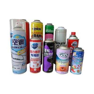 China Chameleon Paint Empty Aerosol Cans Tinplate Automotive Touch Up Metal Can Custom Logo 300ml 450ml Scratch Resistant for sale