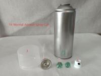China Chameleon Paint Empty Aerosol Cans Tinplate Automotive Touch Up Metal Can Custom Logo 300ml 450ml Scratch Resistant for sale