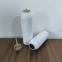 China 20ml-1000ml Spray Aluminum Bottle Aerosol Metal Cans for Personal Care Chemical & Paint for sale