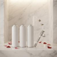 China Fashion Accessories Industrial Versatile Aluminum Bottle Aerosol Can for sale