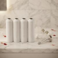 China Fashion Accessories Industrial Versatile Aluminum Bottle Aerosol Can for sale