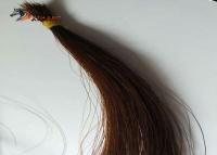 China 35 In Horse Hair Bowstring For Unique Tonal for sale