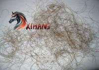 China Sustainability Horsehair Stuffing Mattresses Upholstery Hair Stuffing for sale