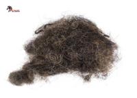 China Good Elasticity Bulk Horse Hair High Tensile Force Horsetail Extensions for sale