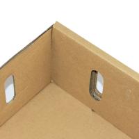 China OEM Corrugated Kiwi Fruit Packing Box W9 Strengthen Recyclable for sale