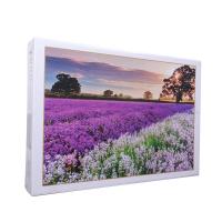 China 1.8mm Cartoon Landscape Paper Jigsaw Puzzle Games 300 Piece for sale