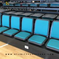China OEM Fixed Telescopic Seating Platform For International Exhibition for sale