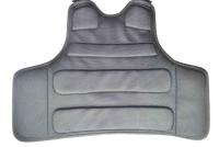 China Protective Tactical Riot Gear Swat Clothing Anti Flaming FV-2 Level ISO 9001 for sale