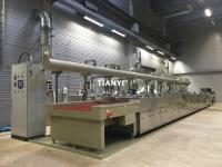 China Customized Chemical Film Stripping Machine For Solar CIGS / CdTe for sale