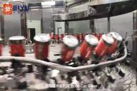 China 10000BPH Aluminum Bottle Filling and Capping Machine Monoblock - 24 Station LRXGF24-24-8 Model with 3KW Motor for sale