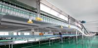 China Sanitary Accumulation Air Bottle Conveyor System - 27,000 BPH Capacity, ANSI304 Stainless Steel Construction with HEPA Filtration for sale