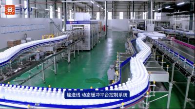China SUS304 Bottle & Bag Conveyor System 1200BPH-24000BPH with PLC Control and 8.7mm Chain Plates for sale
