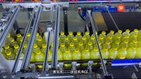 China 24000BPH Narrow Edge Wraparound Case Packer Machine | 70 Boxes/Minute | 55KW Power | High-Speed Packaging Automation for sale
