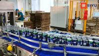 China Automatic Wrap Around Case Packer for Horizontal Corrugated Boxes - 18 Boxes/Minute, 12kW Power for sale