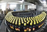China Condiment Packaging Line Equipment - 24,000 Packages/Hour Capacity with 35kW Power for Liquid Seasoning Bottling for sale