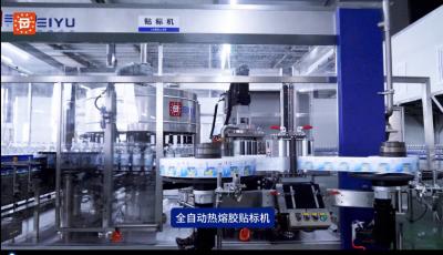 China Carbonated Beverage Filling Production Line 20000BPH 500ml Glass Bottle Automated Packaging System for sale