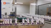 China 6000BPH Fully Automatic Rooftop Bag Cream Packaging Line - 1000ml Capacity with ABB Robot Palletizer for sale