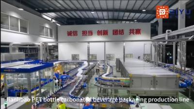 China Carbonated & Functional Beverage Packaging Line - 20,000 Bottles/Hour Capacity with PET/PE/PP/Glass Bottle Support for sale
