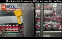 China 500ml Carbonated Beverage Bottle Filling and Capping Machine - 8000 Bottles/Hour Capacity with 3KW Servo Motor for sale