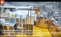 China Carbonated Beverage Production Line 48000BPH Blowing Filling Capping with Secondary Packaging System for sale