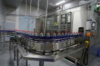 China 24000BPH 560ml Bottled Mineral Water Production Line with Hot Melt Labeling and Automated Packaging Systems for sale