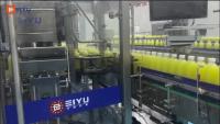 China 1L PET Bottle Lemon Juice Beverage Packaging Line | 26,000 BPH Capacity | 12-Month Warranty for sale
