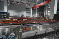 China 18,000 BPH Case Conveying System with SUS304 Stainless Steel Construction for Beverage Aseptic Lines for sale