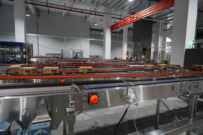 China 18,000 BPH Case Conveying System with SUS304 Stainless Steel Construction for Beverage Aseptic Lines for sale