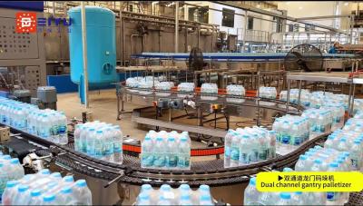 China Beverage Palletizer 3-160 Boxes/Min with 1800mm Stacking Height - Automated Palletizing System for sale