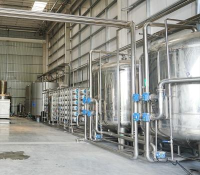 China Bottled Water Treatment System 1000-50000 L/Day RO UV Ozone Sterilization for sale