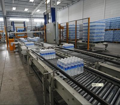 China SUS 304 Frame Palletizer Conveyor For Bottled Water Production Energy Efficiency for sale