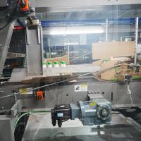 China 30kw Fully Automatic Wrap Around Case Packer Cartoning Machine with 45box/Minute Capacity and Mechanical Stretch for sale