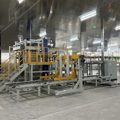 China Fully Automatic Palletizer for Canned Food - 400 Cans/Minute Capacity with 10-30 Pallets/Hour Output for sale