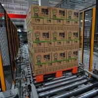 China Automatic Gantry Palletizer Water Bottle Case Box Carton Palletizer for sale
