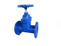 China Ductile Iron Resilient Wedge Gate Valve DN50-DN600 PN10/16 DIN3202-F5 for sale