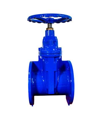 China Flanged Gate Valve DN150 Resilient Seated Sluice Valve BS4504 BS5163 PN16 for sale
