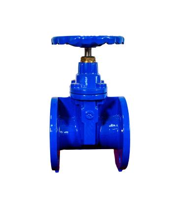 China Flanged Soft Seat Gate Valve Rising Stem DN50-DN800 PN10/PN16 for sale