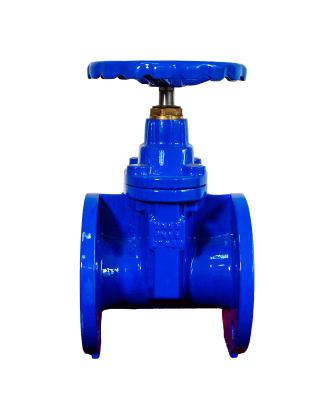 China BS4504 Gear Operated Gate Valve 8 Inch PN16 Cast Iron Flanged for sale