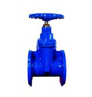 China CI Cast Iron BS5163 Gate Valve 100mm PN10 Flanged for Sewage Pipeline for sale