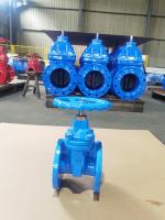 China Soft Seat Actuated Gate Valve DN65 Ductile Iron BS5163 Flanged PN10 for sale