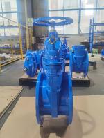 China OEM Ductile Iron Soft Seat Gate Valve PN10 DN250 Flanged Non-Rising Stem for sale