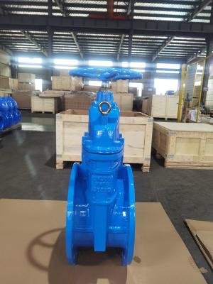 China OEM Ductile Iron Soft Seat Gate Valve PN10 DN250 Flanged Non-Rising Stem for sale