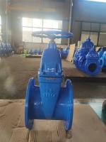 China DI PN25 BS5163 Gate Valve 10 Inch Flanged ISO9001 Certified for sale