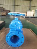 China Pipeline Electric Ductile Iron Gate Valve 100mm Customized for sale