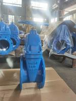 China DN50 Rising Stem Resilient Wedge Gate Valve ANSI Class A Ductile Iron PN16 for sale