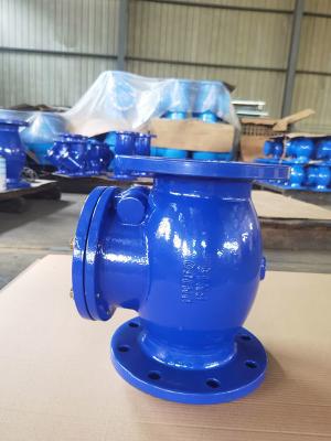 China Cast Iron Swing Check Valve PN10 DN50-DN300 for Water Oil Gas Backflow Prevention for sale